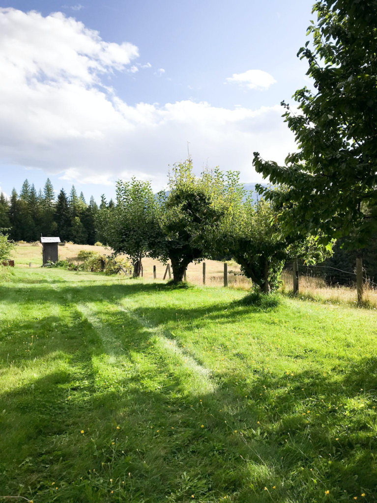 A new gratitude and perspective - Young Adult Cancer Canada